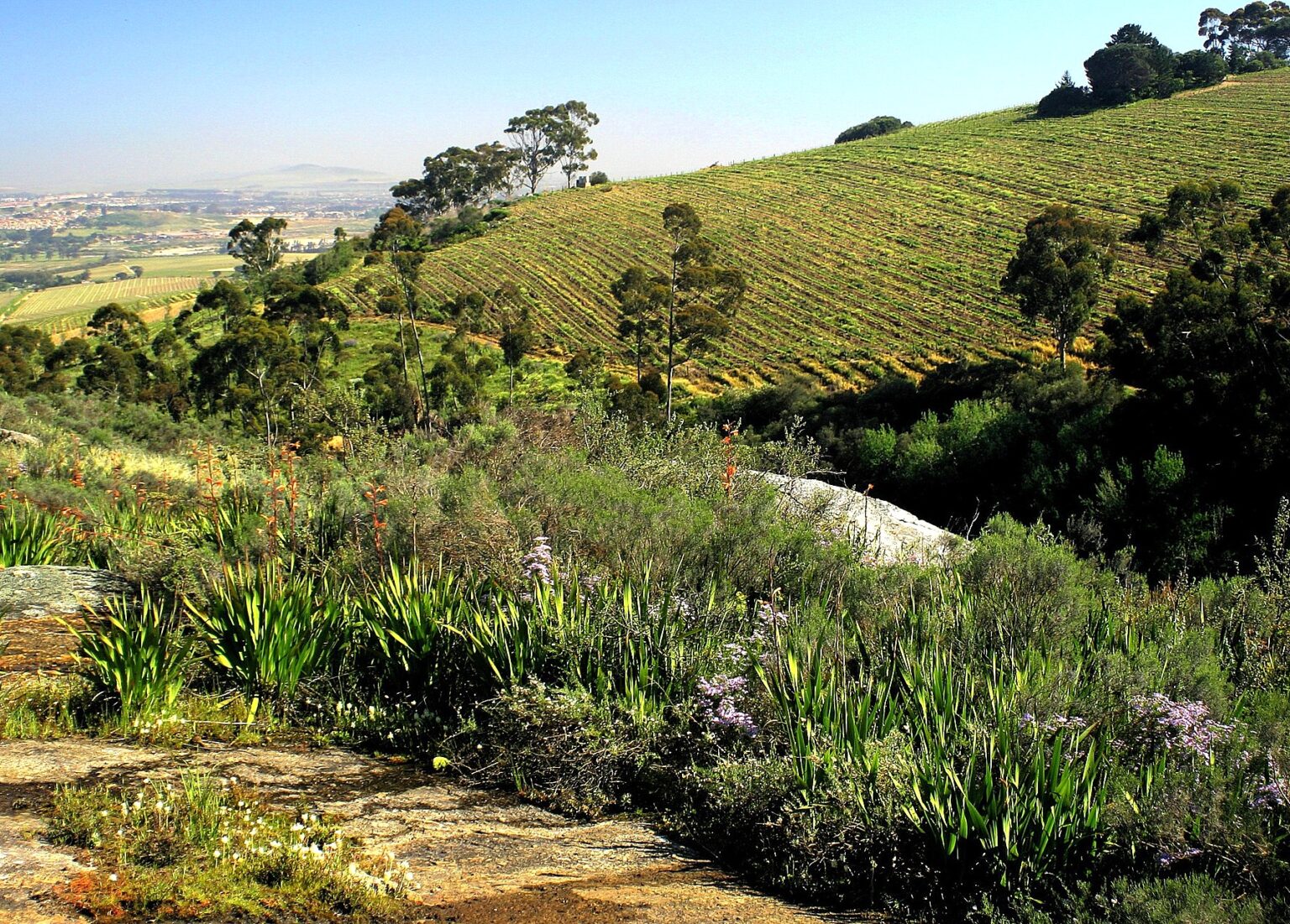 Actueel maandmagazine en vondsten | door Hubrecht Duijker